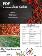 Panduan Budidaya Cabai Rawit Komprehensif | PDF