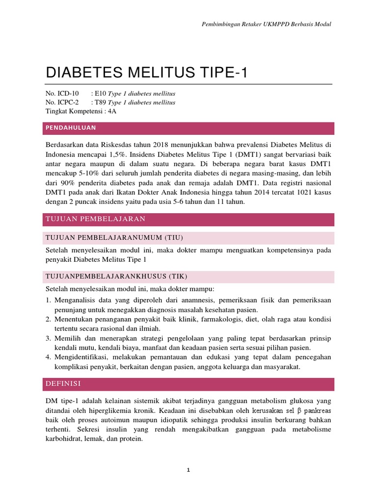 MODUL DM Tipe 1 | PDF | Kesehatan Holistik
