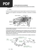 Fisiología Digestiva Del Cerdo | PDF | Digestión | Bilis