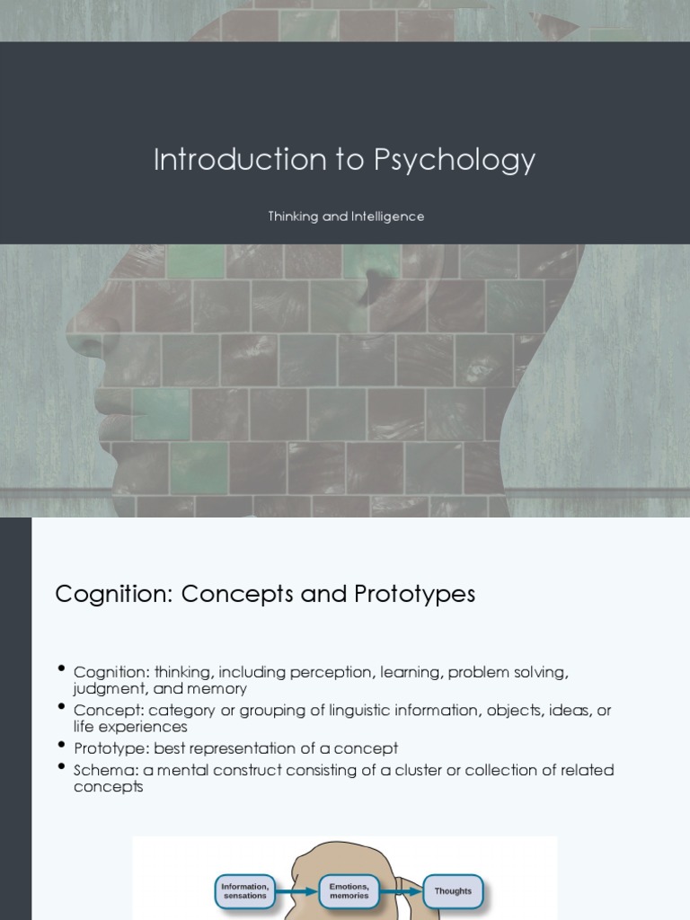 Introduction to Cognition and Problem Solving | PDF | Intelligence ...