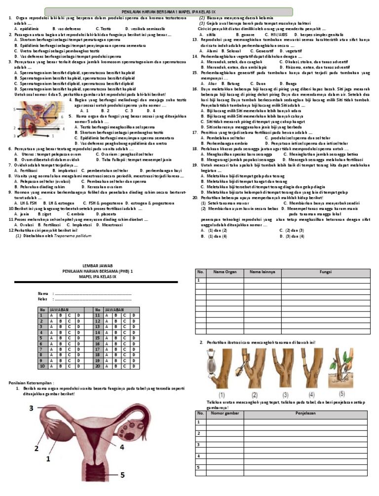 PHB 1 - UHbab1 - UHbab2 - Kelas9 | PDF
