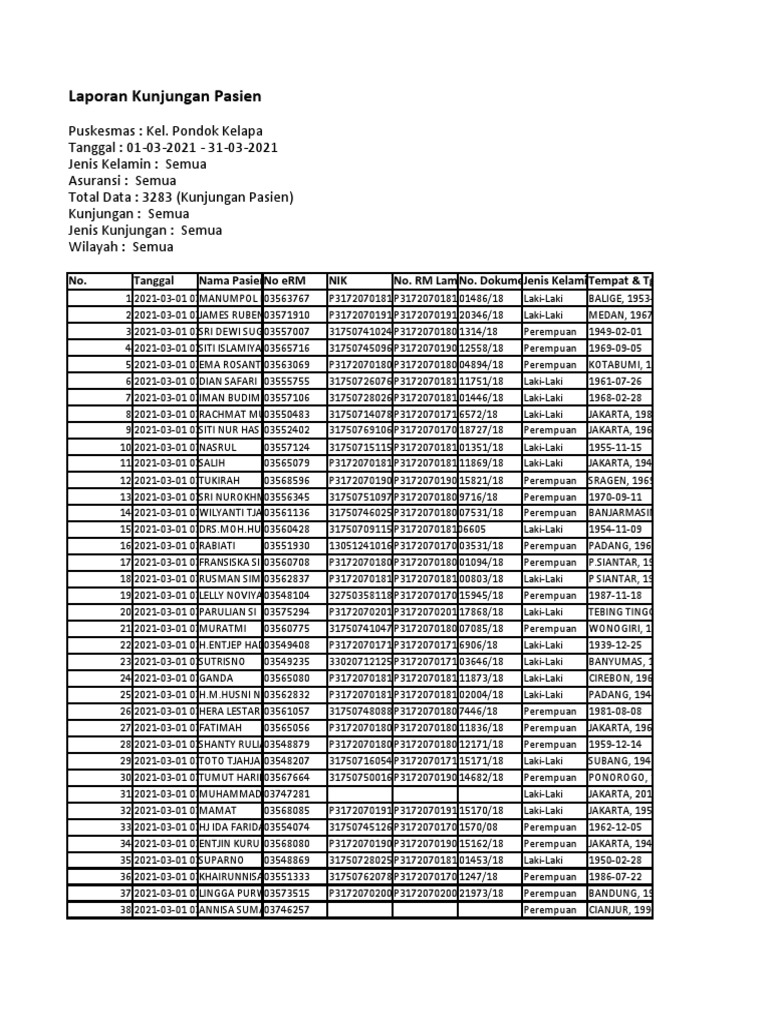 Laporan Kunjungan Pasien | PDF