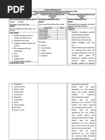 Sdki Resiko Infeksi | PDF