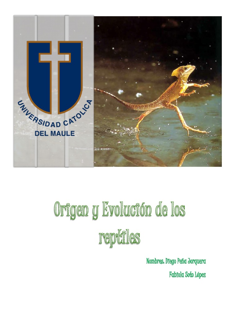 Origen Evolucion Reptiles | PDF | Organismos | Naturaleza
