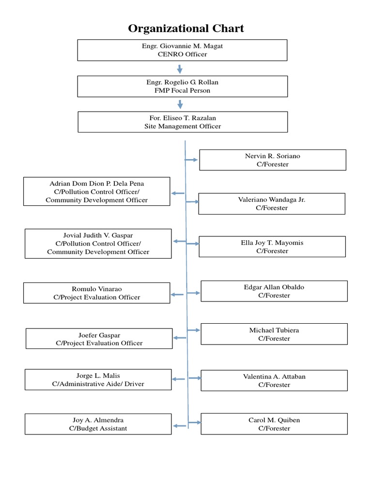 CENRO Organizational Chart Overview | PDF