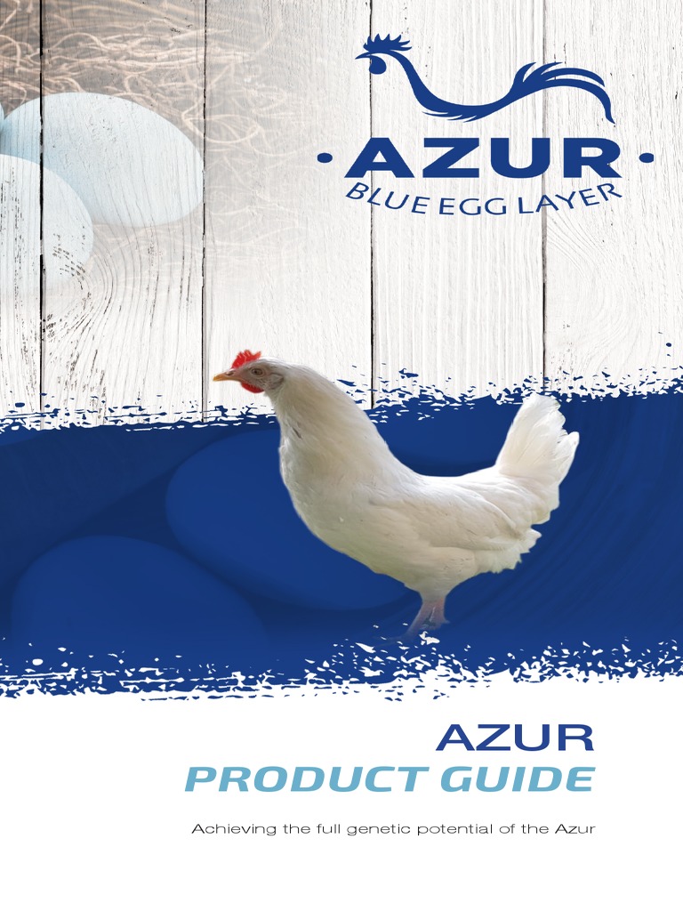 Azur CS English Guide | PDF | Feather | Chicken