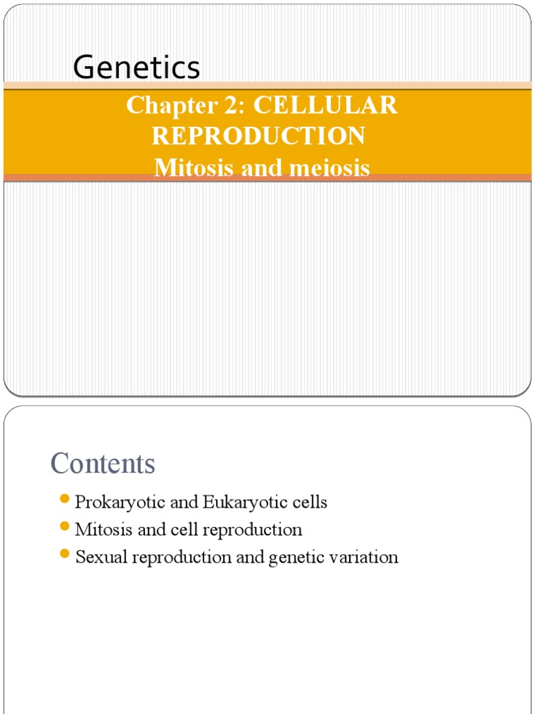 Genetics: Chapter 2: CELLULAR Reproduction Mitosis and Meiosis | PDF ...