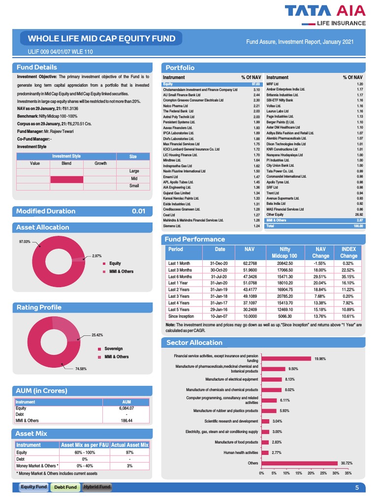 Mid Cap Equity Fund Overview & Performance | PDF | Investing | Economies