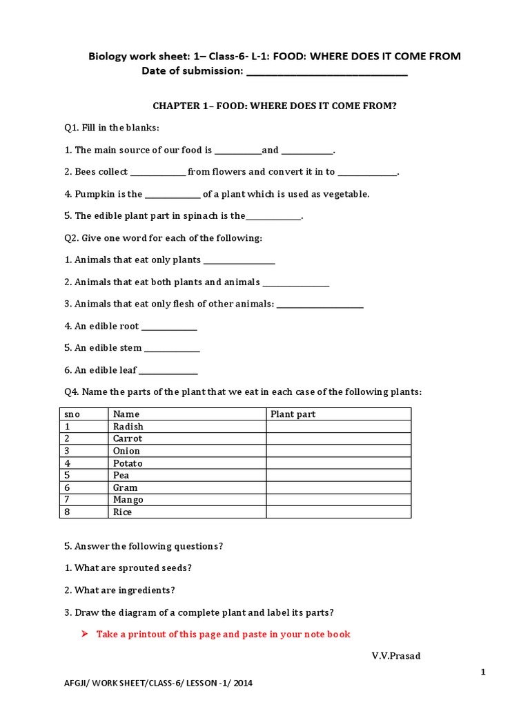 biology-work-sheet-1-class-6-l-1-food-where-does-it-come-from-date