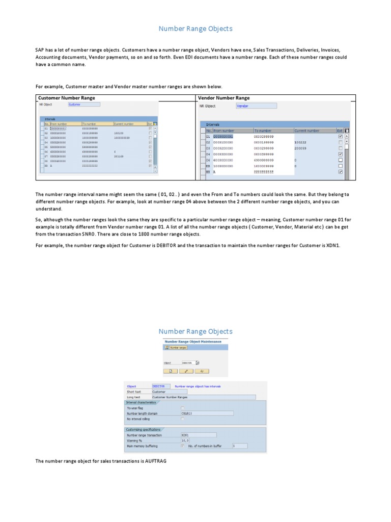 SAP Number Range Objects Guide | PDF