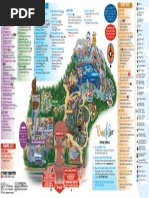 Looney Rollercoaster at Disneyland | PDF