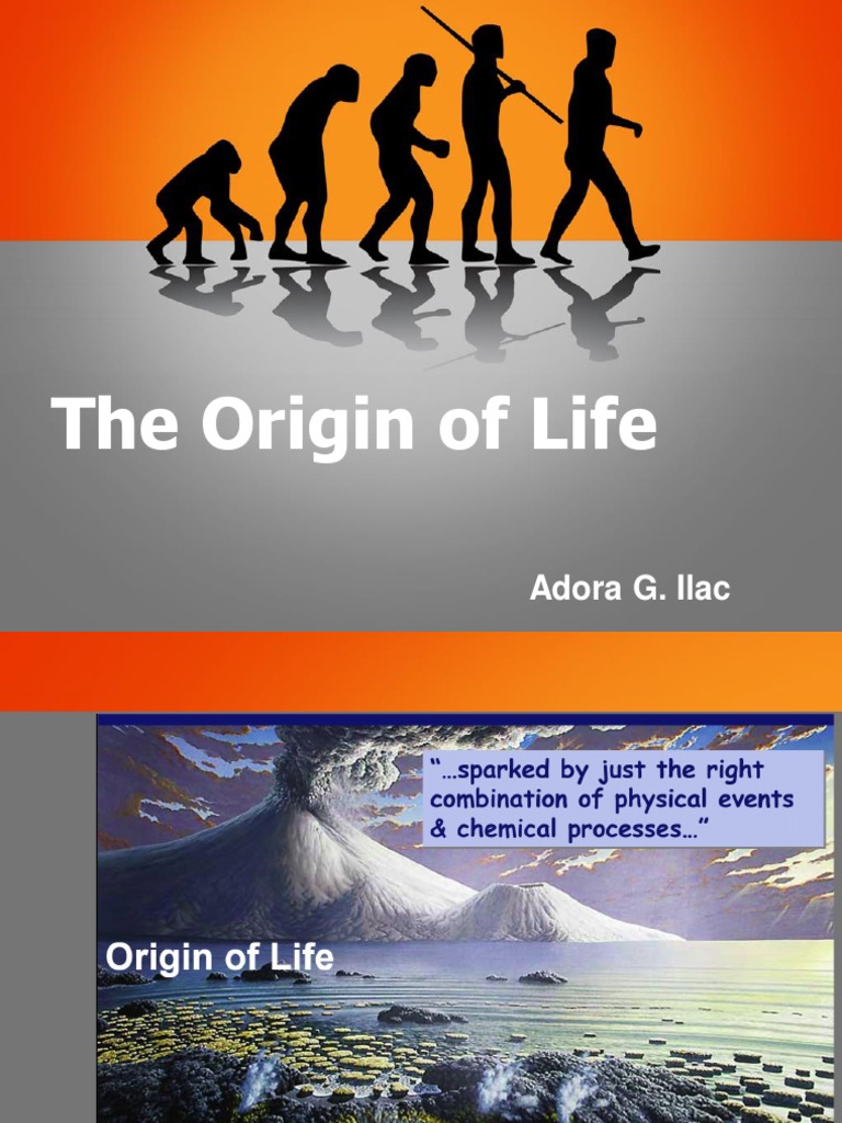 2 The Origin of Life | PDF | Abiogenesis | Life