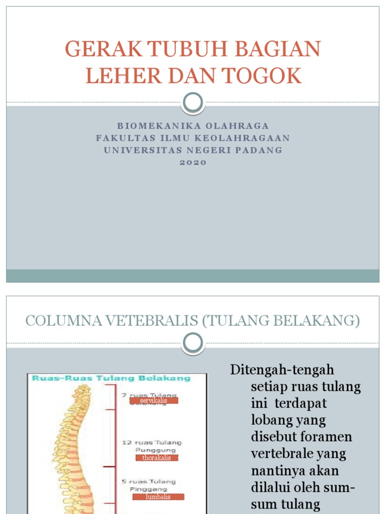 Gerak Tubuh Bagian Leher Dan Togok | PDF