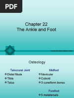 Great Toe and Toe ROM Assessment | PDF