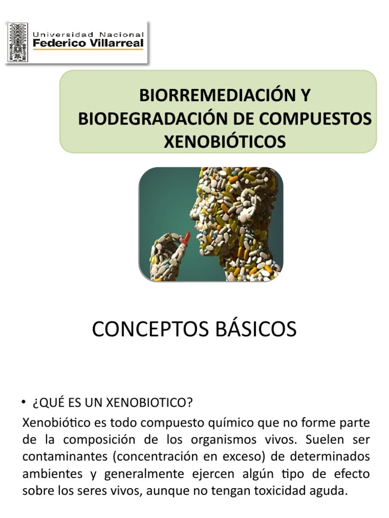 Ok (4) Biorremediación-Xenob | PDF | Las bacterias | Ciencias fisicas