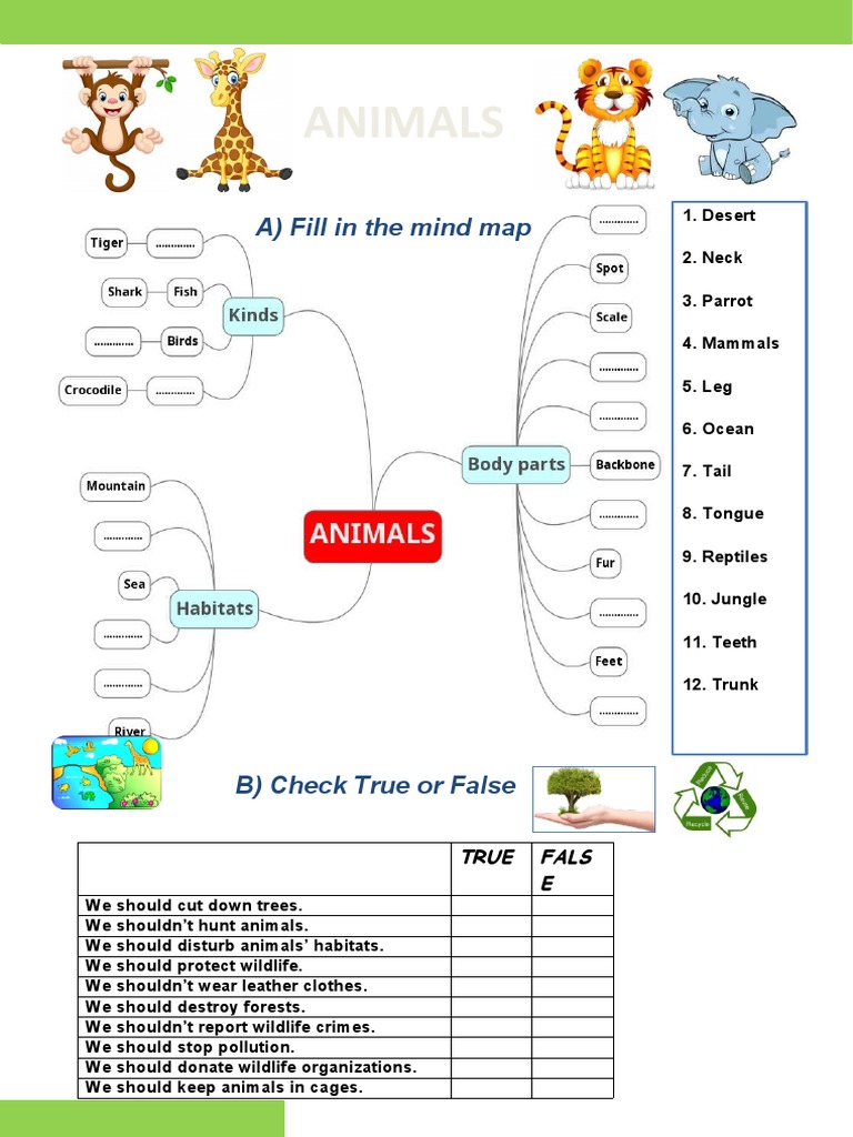Animals: A) Fill in The Mind Map | PDF | Mammals | Elephant