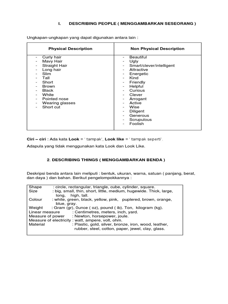 Describing Peole and Things | PDF