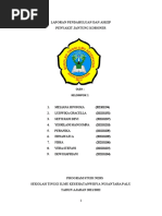 Patofisiologi Penyakit Jantung Kroner (PJK) | PDF