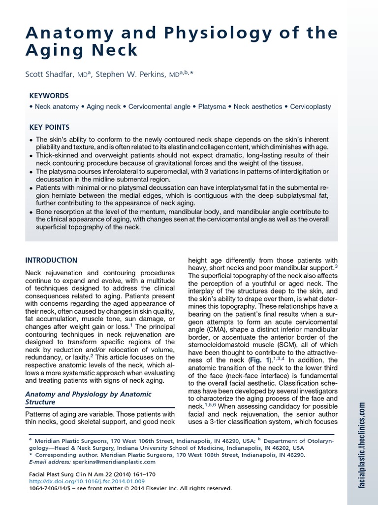 Anatomy and Physiology of The Aging Neck | PDF | Neck | Common Carotid ...