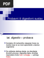 Ponavljanje - Regulacija Stalnoga Sastava Tjelesnih Tekućina U Organizama | PDF