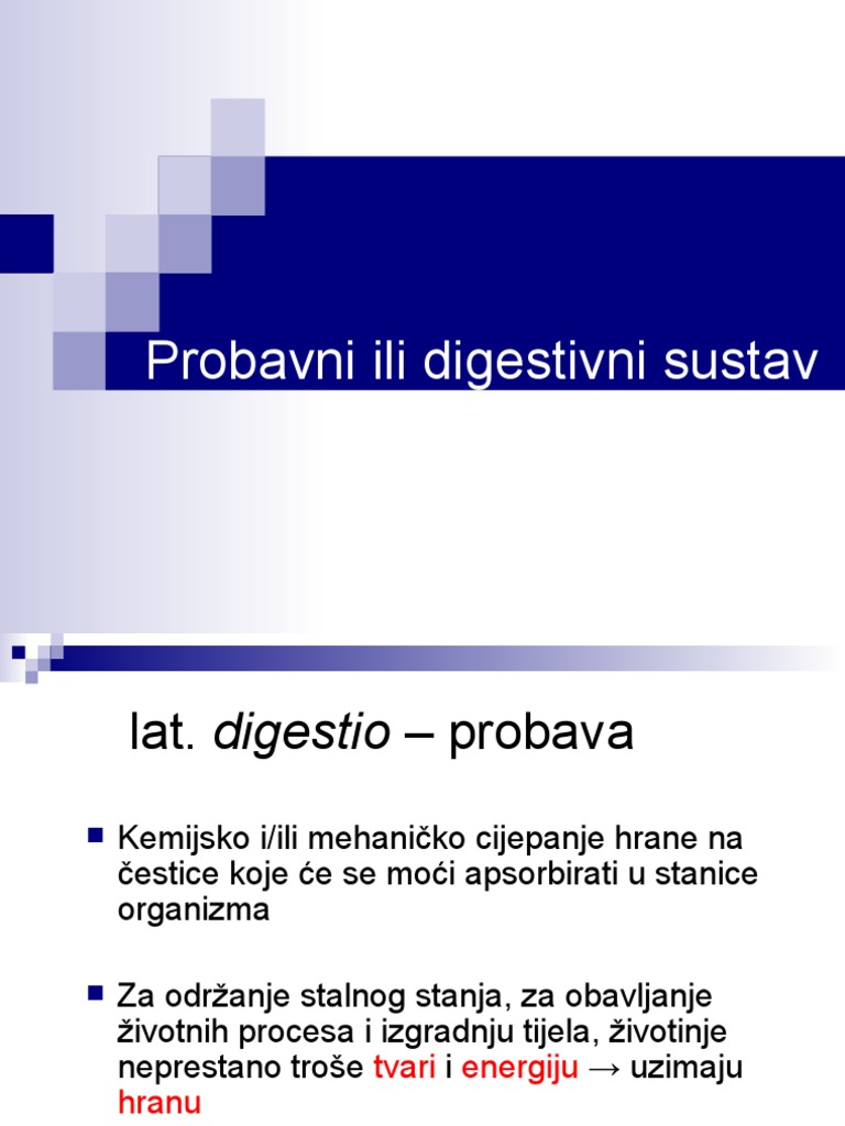 6-Probavni Sustav | PDF