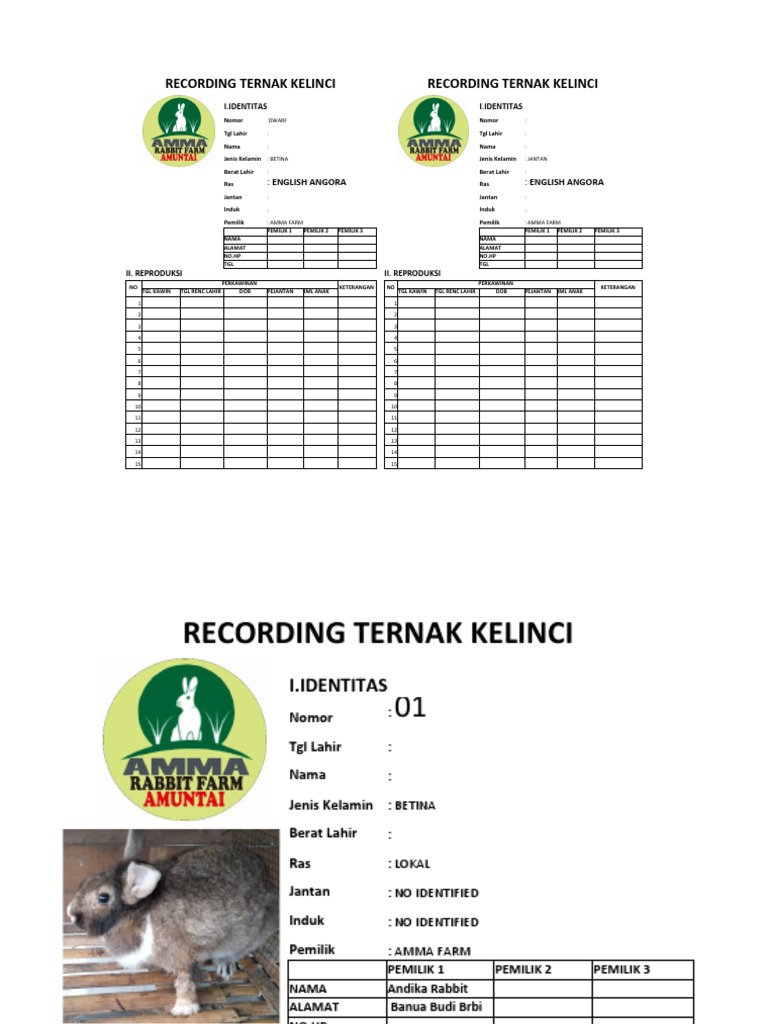 Label Kelinci | PDF
