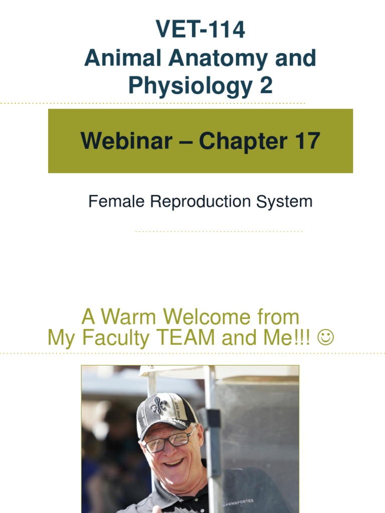 Chapter 17 Female Reproductive System | PDF | Menstrual Cycle ...