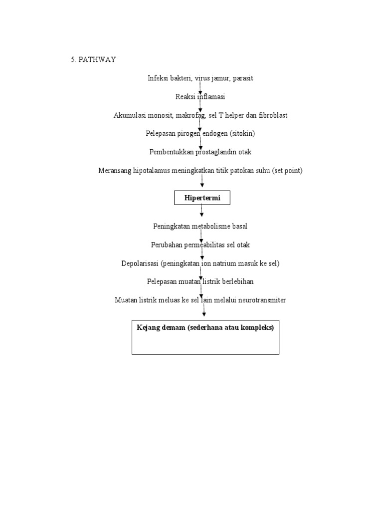 Pathway KDK | PDF | Sains & Matematika