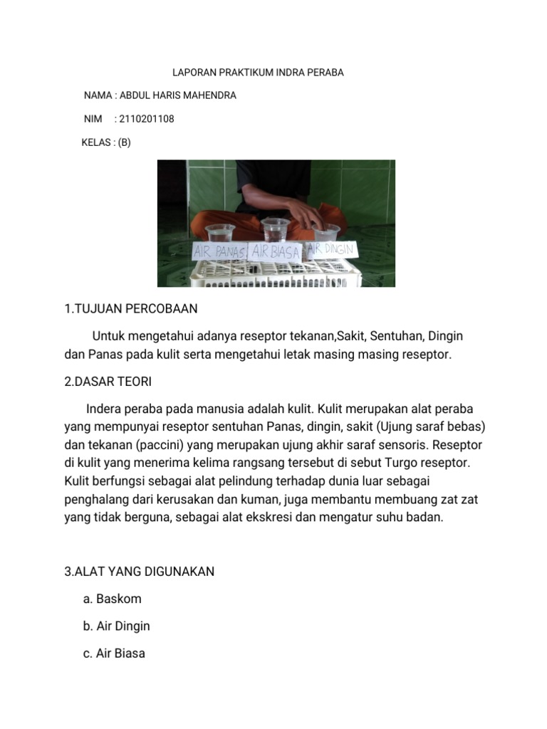 Praktikum Indra Peraba | PDF