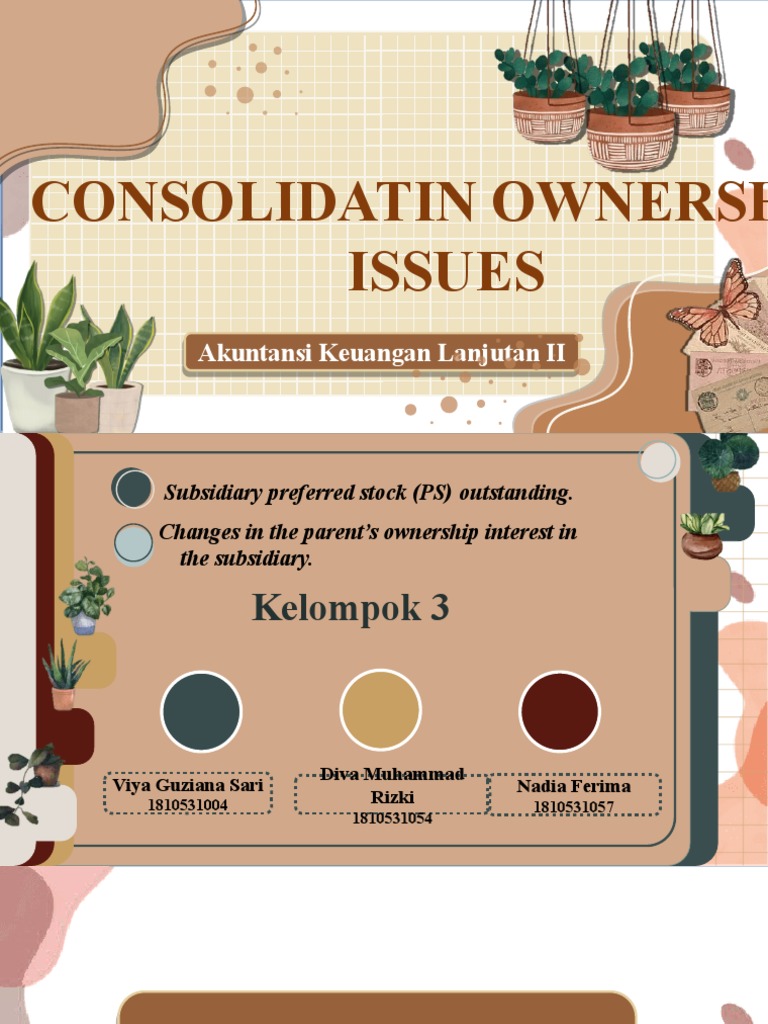 Consolidation Ownership Issues | PDF