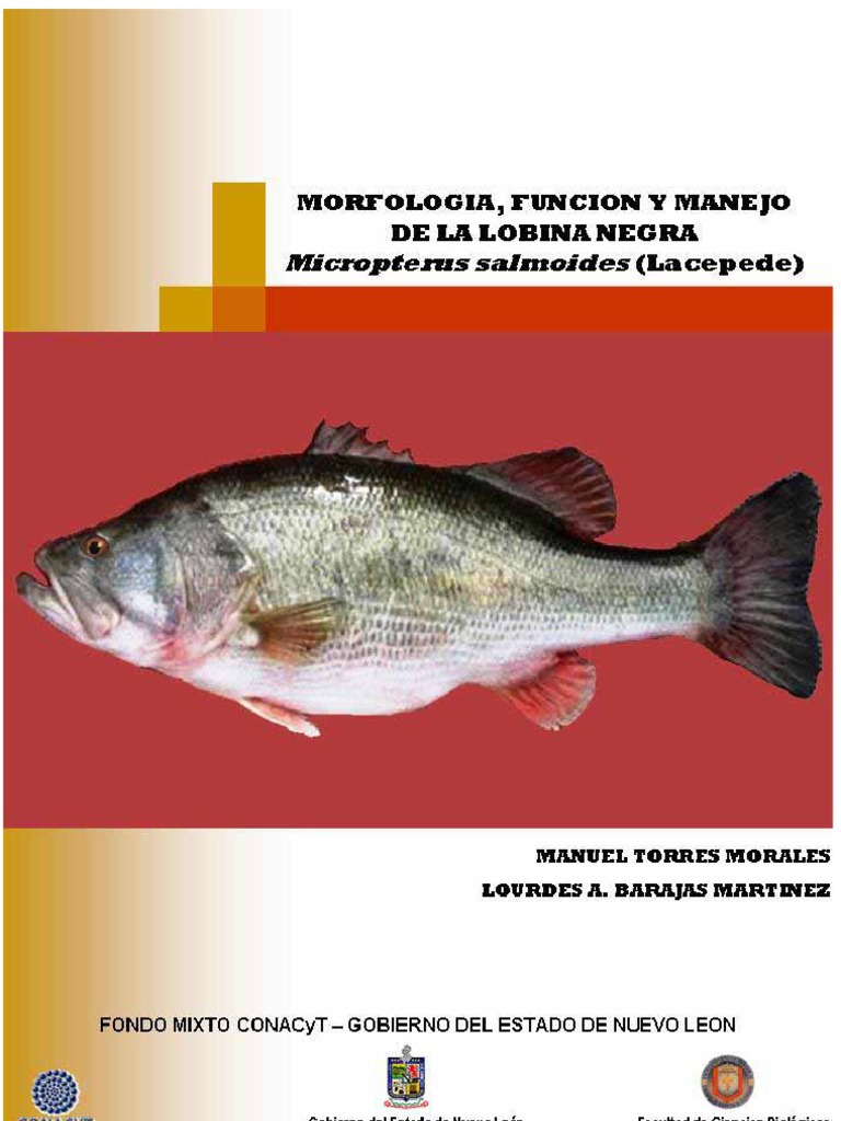 Morfología, Función y Manejo de la Lobina Negra (Micropterus salmoides)