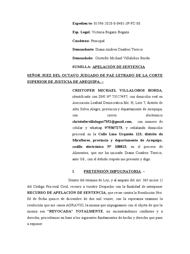 Recurso de Apelacion de Sentencia | Descargar gratis PDF | Apelación | Debido al proceso