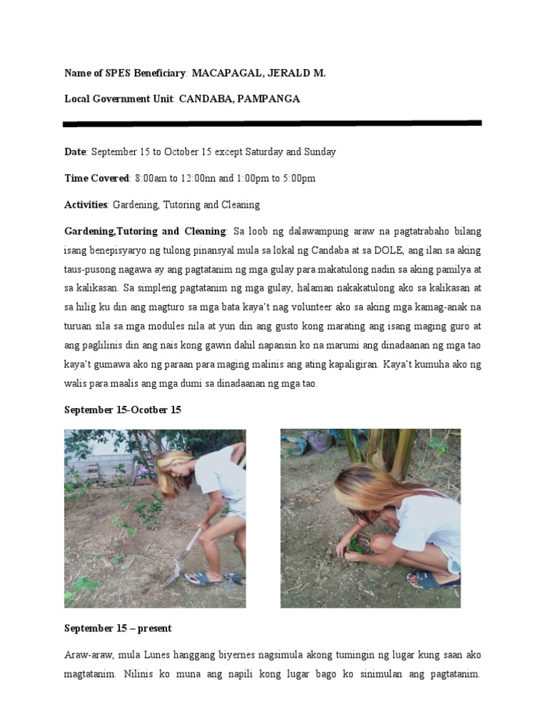 Narrative Report and Documentation | PDF