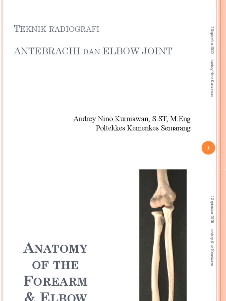 TR Antebrachii - Elbow | PDF