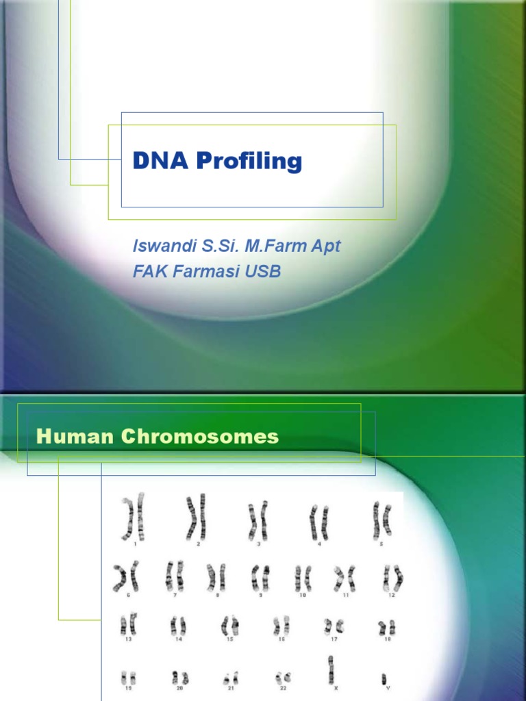 DNA Profiling One Day | PDF | Dna | Dna Replication