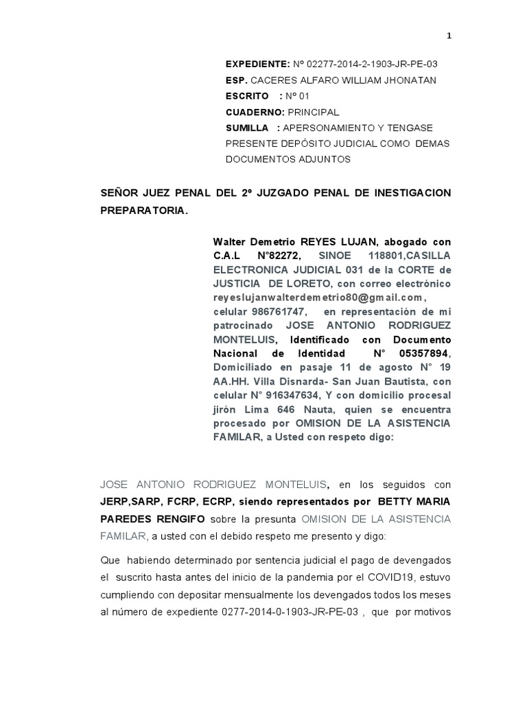 Modelo de Consignacion | PDF | Justicia | Crimen y violencia