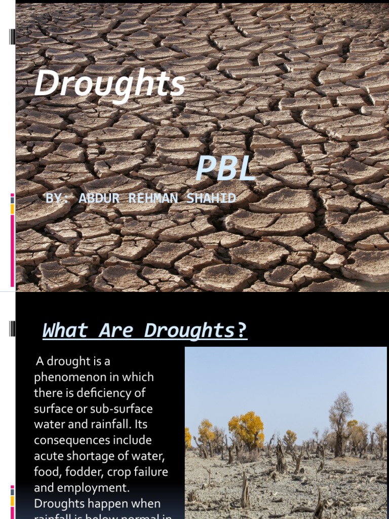 Droughts PPT For Class 8 | Download Free PDF | Drought | Water