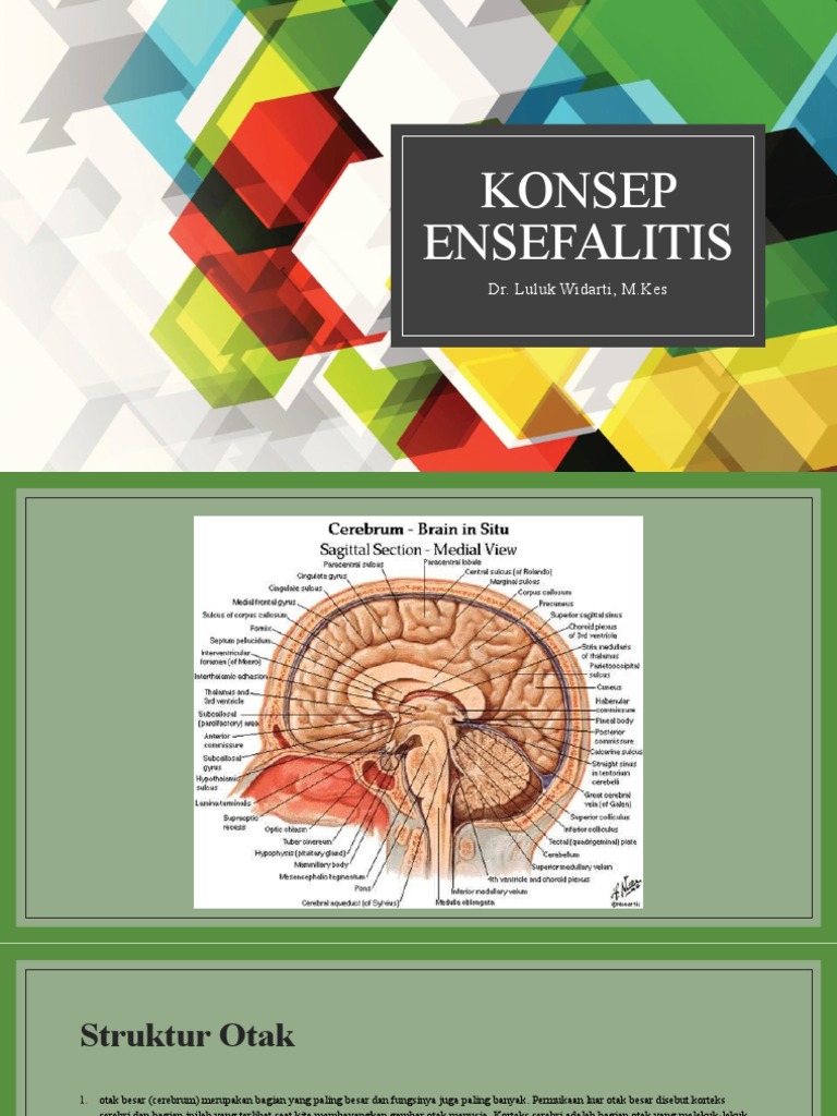3 Konsep Ensefalitis | PDF
