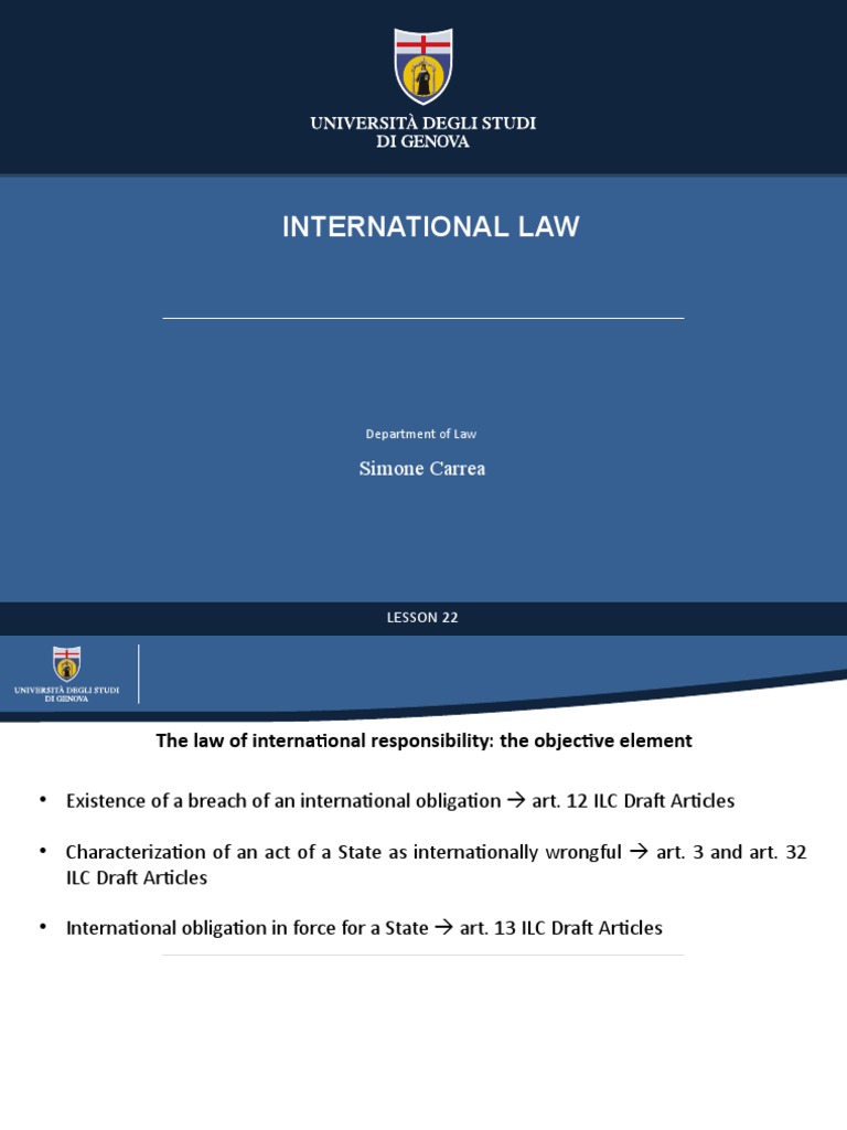 International Law: State Responsibility Principles | PDF ...