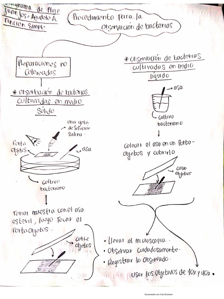 Diagrama de Flujo - Tincion Simple - Juan José Agudelo Alzate | PDF