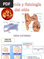 Otoscopia Normal | PDF | Oído | Anatomía