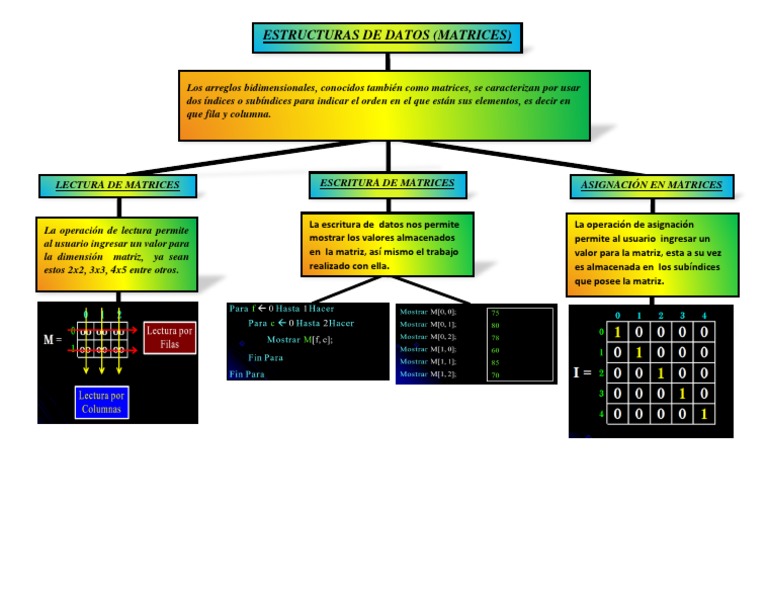 Mapa Conceptual Matrices | PDF