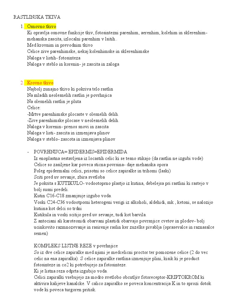 Rastlinska Tkiva | PDF