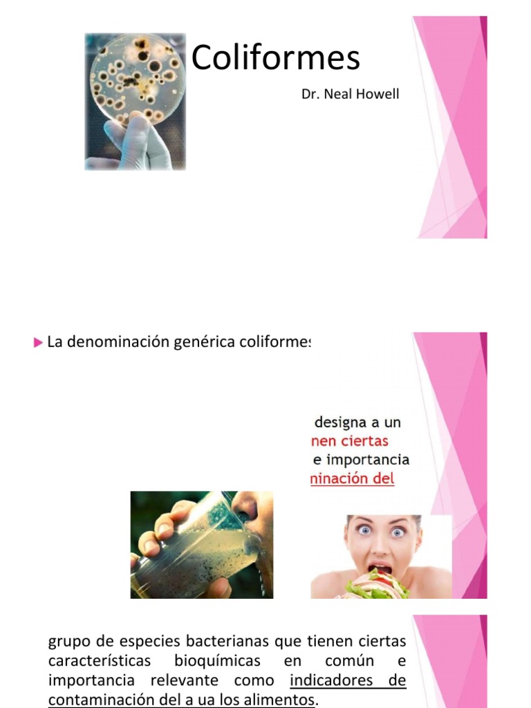 Coliformes: Indicadores de Contaminación | PDF | Microorganismo ...