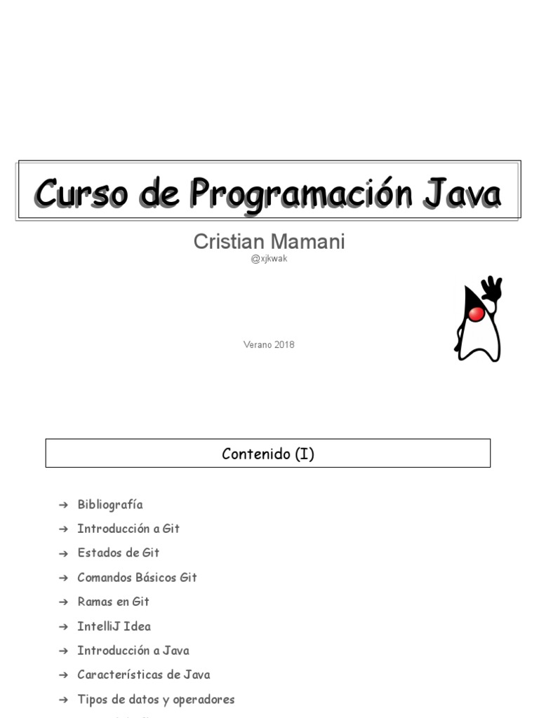 Curso de Programación Java | PDF | máquina virtual de Java | Java ...