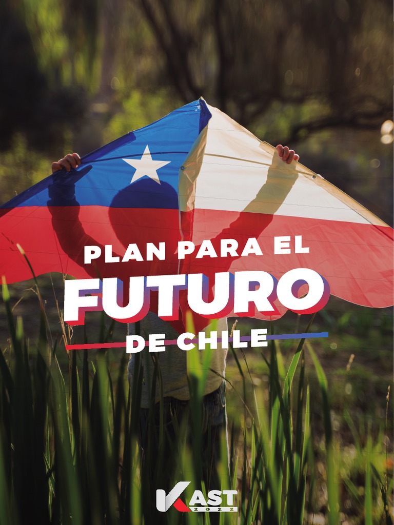 Programa Futuro | Descargar gratis PDF | Policía | Pensión