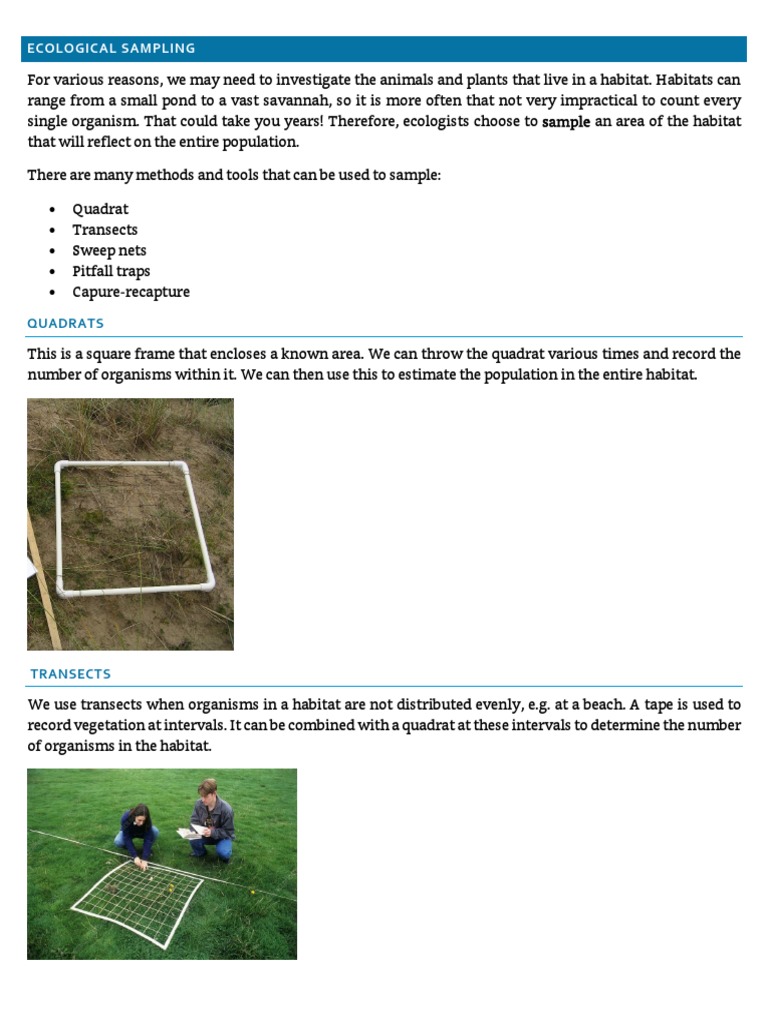 CSEC Bio Notes 1 | PDF | Food Web | Natural Environment