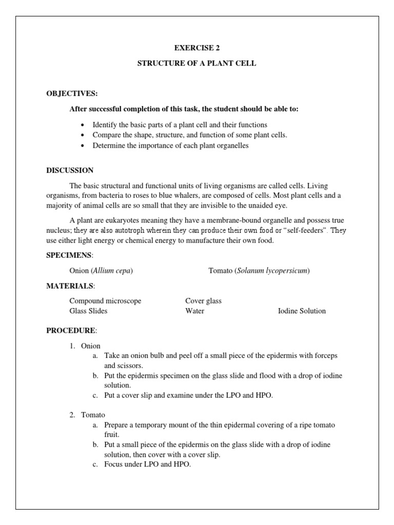 Laboratory Exercise 2. Plant Cell | PDF | Cell (Biology) | Onion