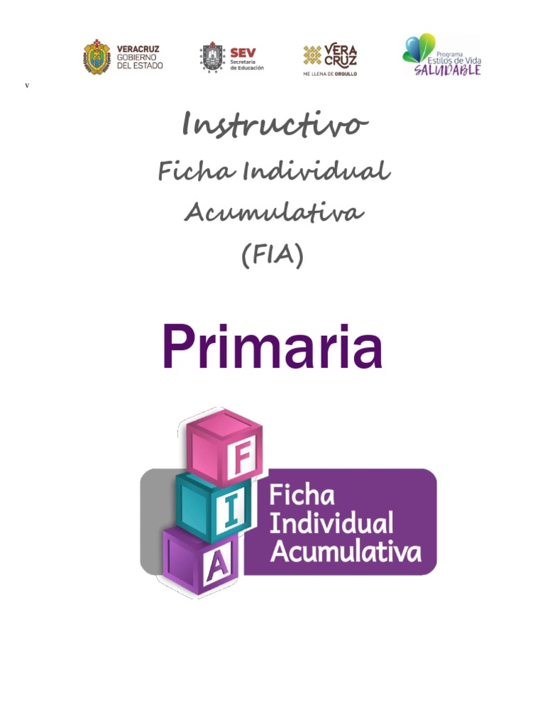 Instructivo FIA: Guía para completar la Ficha Individual Acumulativa en ...