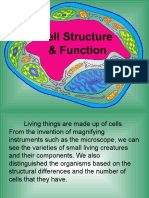 Plant and Animal Cells Virtual Lab | PDF